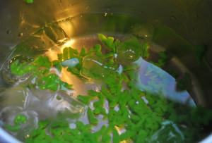 Tjendol Dawet recept | PisangSusu.com